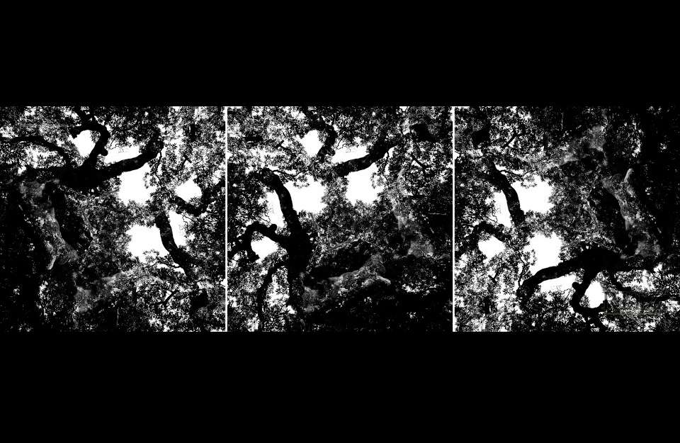 Reconstructing life | RITZ