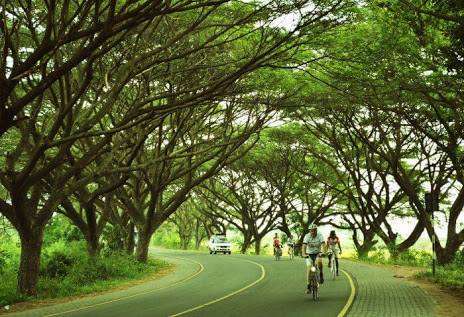 CFC- Cycle For Cause | RITZ