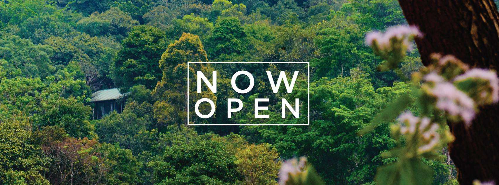 Presenting 'Wayanad Wild' - A CGH Earth Experience | RITZ