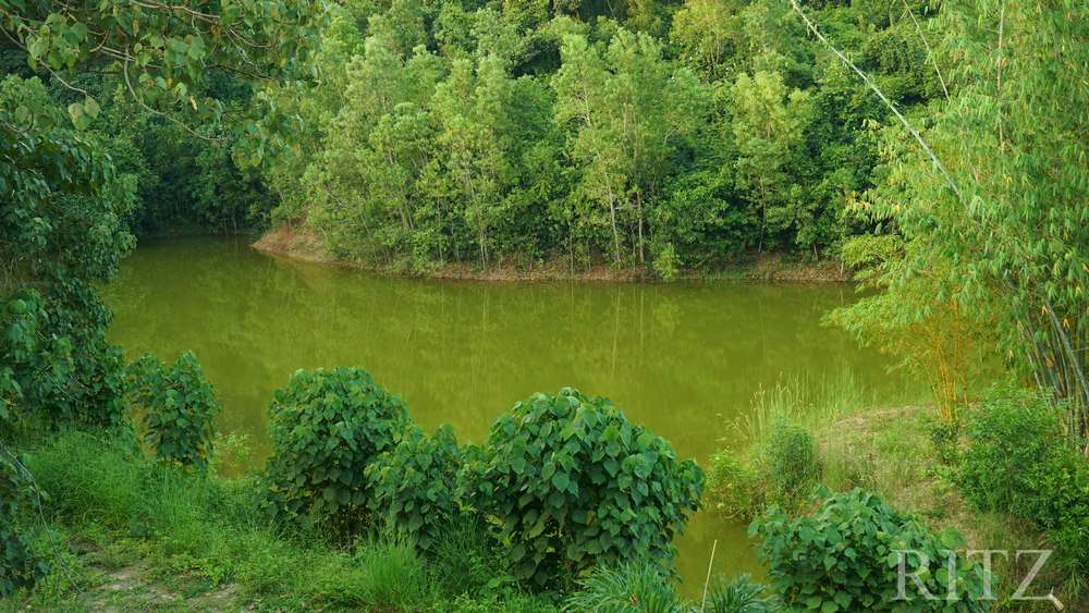 Calling the Shots (1) | RITZ