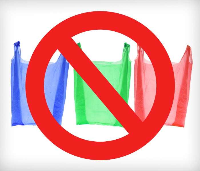 Steps taken to eradicate use of plastic | RITZ