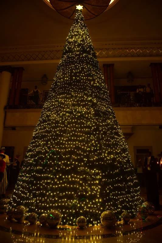 Christmas Tree | RITZ