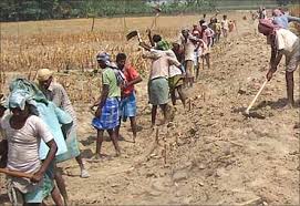 Kerala’s Labour Department’s move for the summer | RITZ
