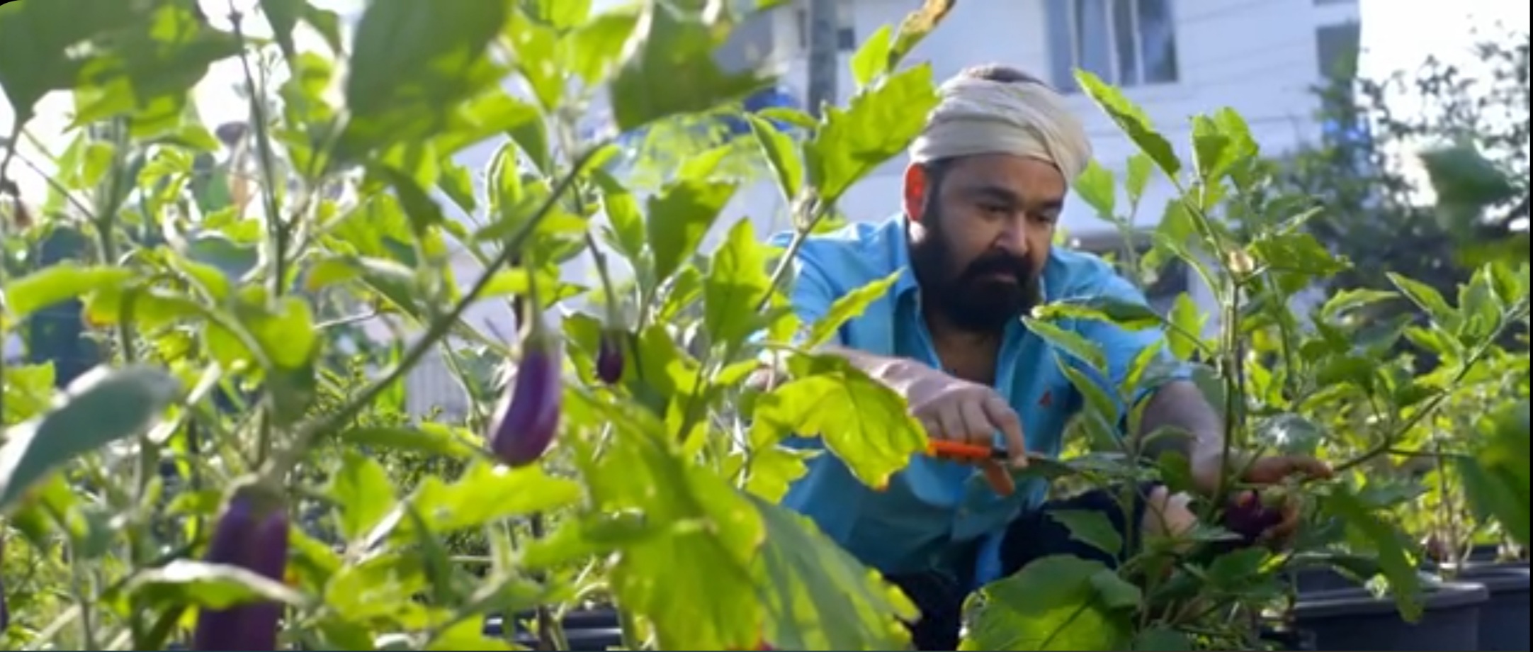 Mohanlal’s Organic farming video goes viral ! | RITZ